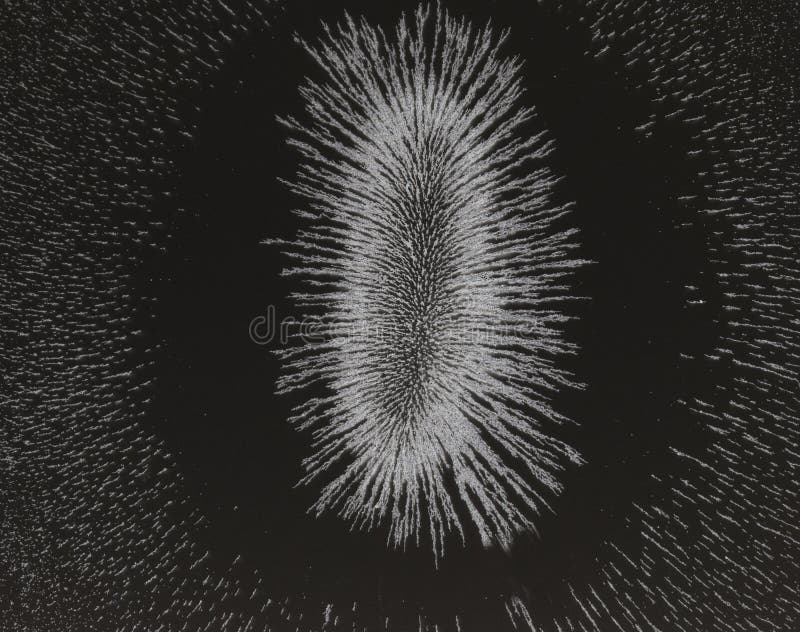 Iron Dust Showing the Magnetic Field Near a Magnet Bar on White ...