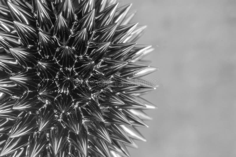 Magnetic Fields Seen with Liquid Ferrum Stock Photo - Image of pandemic ...