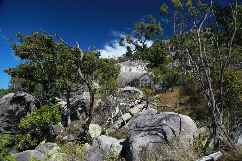 178 Great Barrier Reef Location Image Stock Photos - Free & Royalty ...