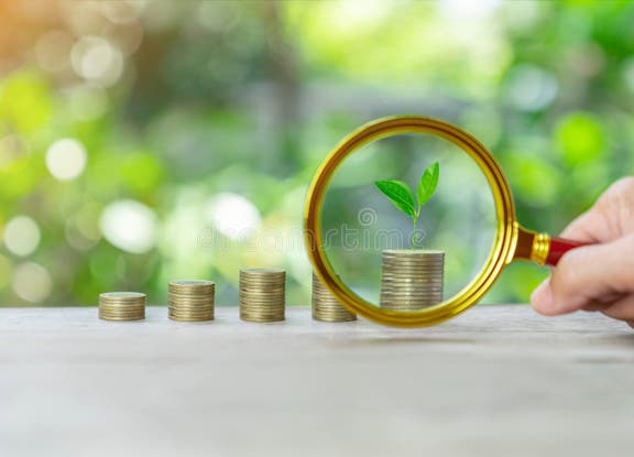 Magnifi Zoom Tree on Coin Stack Concept of Grow Saving Stock Image ...