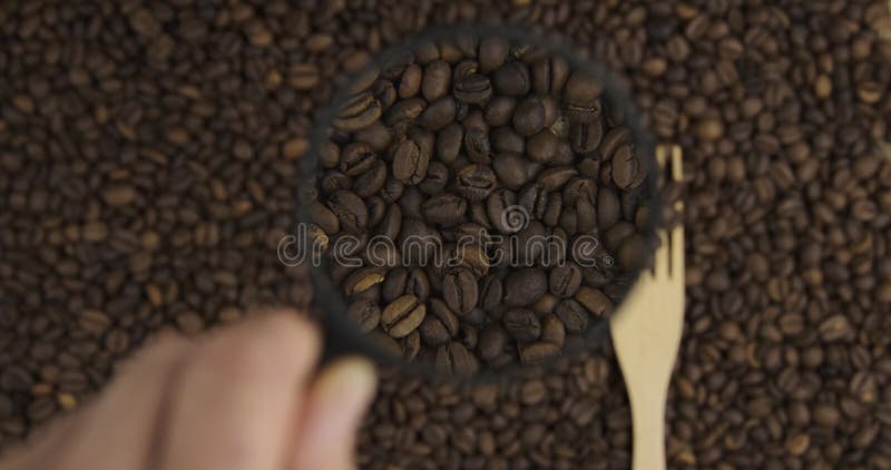 Magnification with a Magnifying Glass, Coffee Beans in a Wooden Fork ...