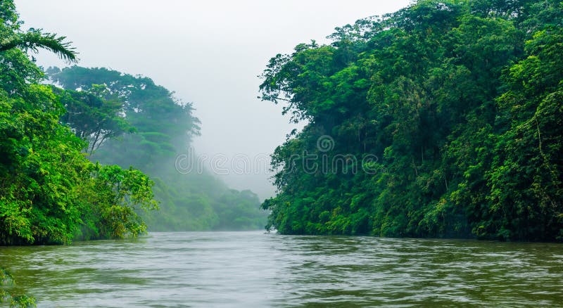 Magnificent Amazon River with Mist Stock Image - Image of water ...