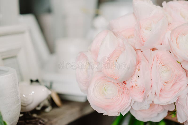 Magnificent Bouquet of Bright Pink Ranunculus Stock Image - Image of ...