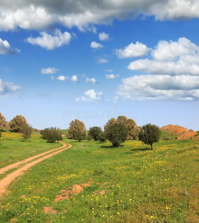 Magnificent Cumulus Clouds in the High Spring Sky. Stock Photo - Image ...