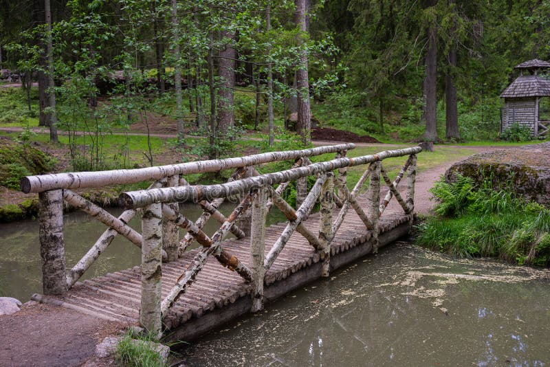 Magnificent Forest Landscape. the Path through the Forest Trees and the ...