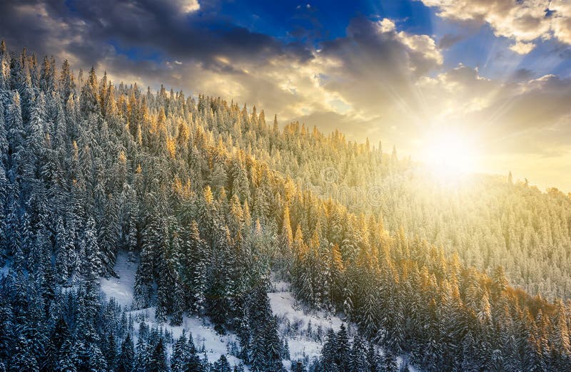 Magnificent Forest in Winter Mountains at Sunset Stock Photo - Image of ...