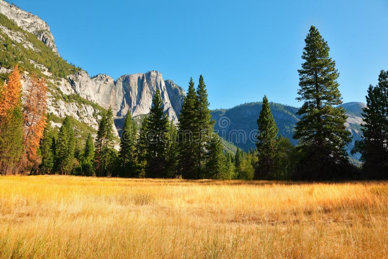 Magnificent glade stock image. Image of glade, blue, rocks - 14052017