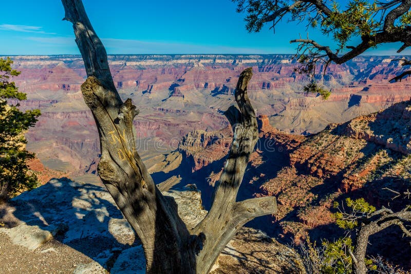 The Magnificent Grand Canyon in Arizona Stock Image - Image of rural ...