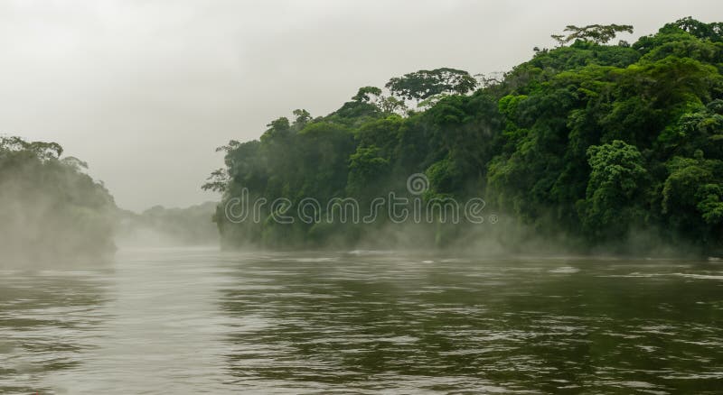 Magnificent Misty Amazon River with Mist and Green Forested Area in ...