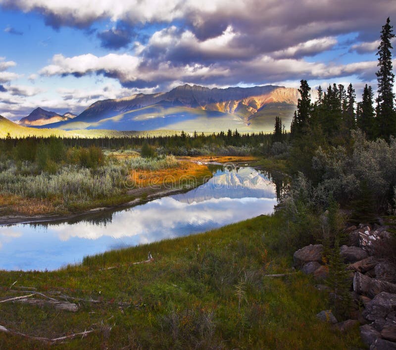 Magnificent Morning in Reserve Stock Image - Image of green, beauty ...