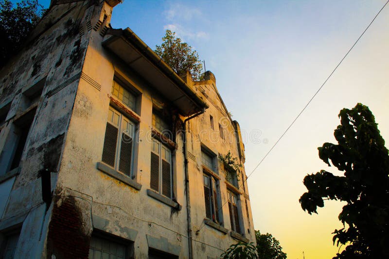 Magnificent stock image. Image of forest, mansion, forrest - 98408207