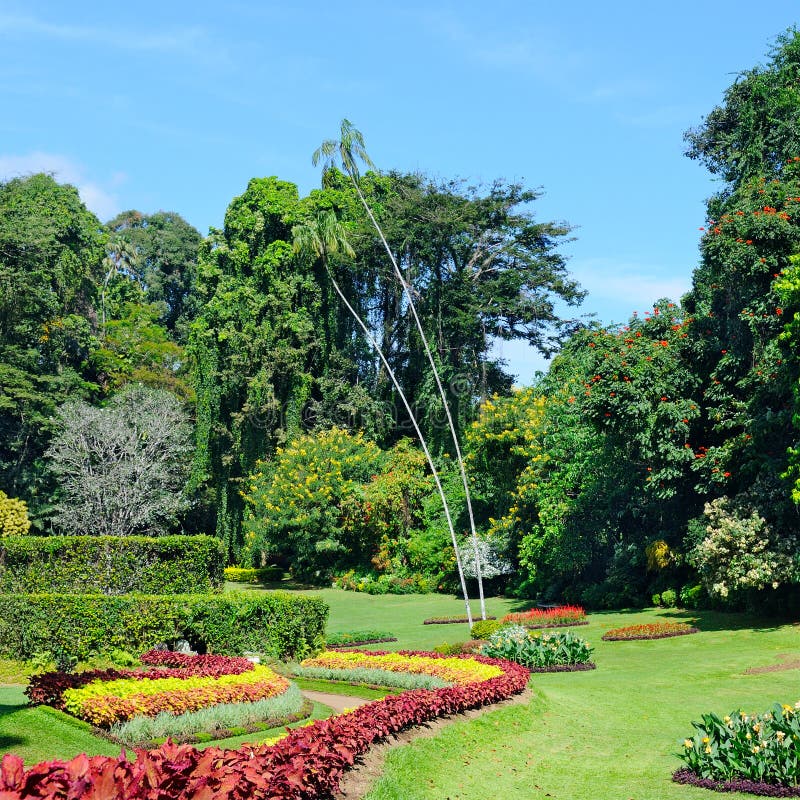 Magnificent Park with Flower Beds, Lawns and Trees Stock Image - Image ...