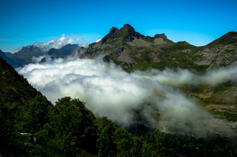 Magnificent Pyrenees stock photo. Image of magnificent - 78164944