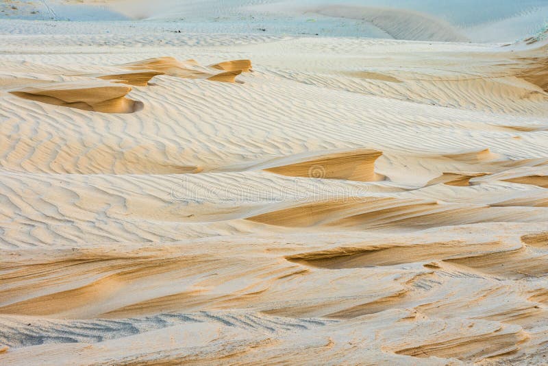 Magnificent sandy waves stock photo. Image of sandy - 100897034