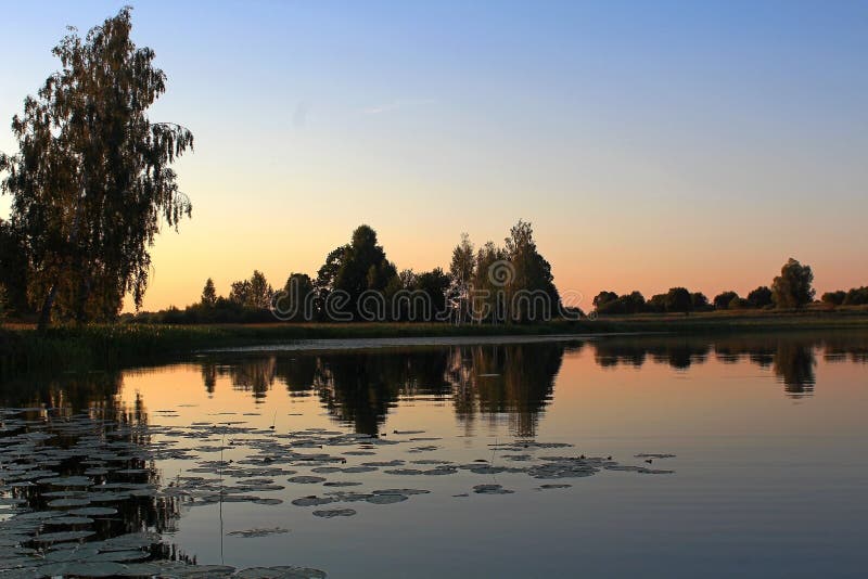 Magnificent Summer Nature on a Pond in July. Stock Image - Image of ...
