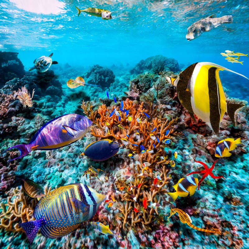 Magnificent Underwater World. Stock Illustration - Illustration of ...