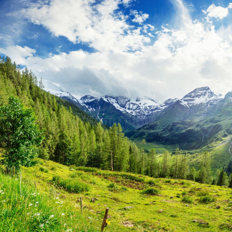 Magnificent View of the Alps Stock Photo - Image of panoramic, nature ...