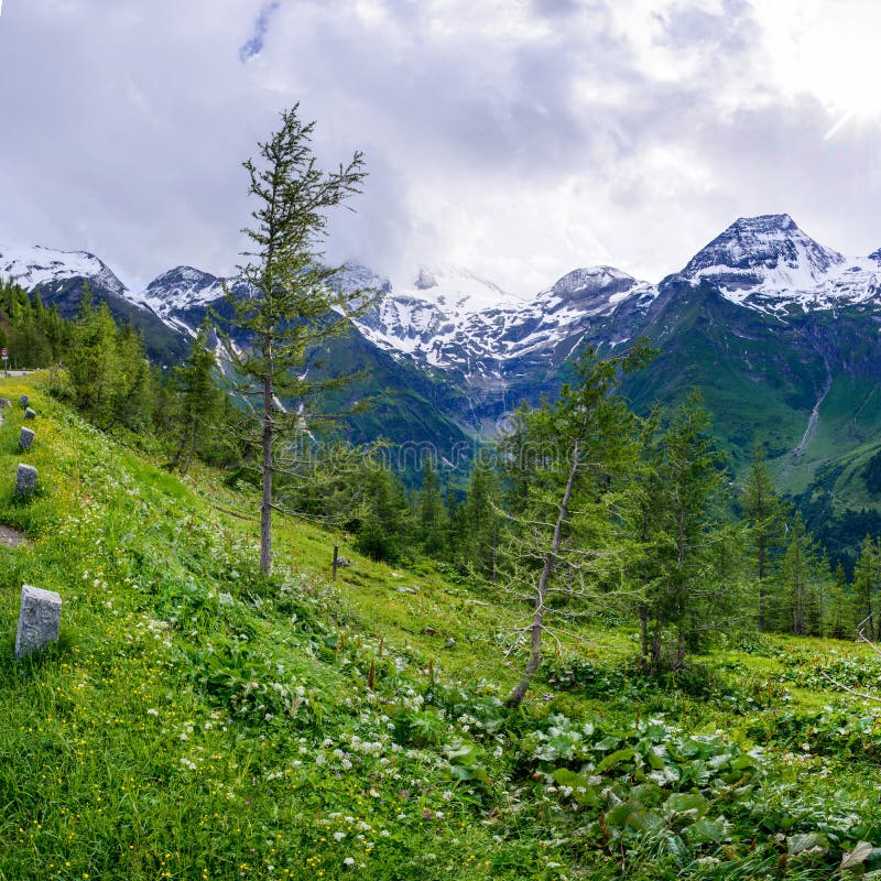 Magnificent View of the Alps Stock Photo - Image of forest, green: 72105836
