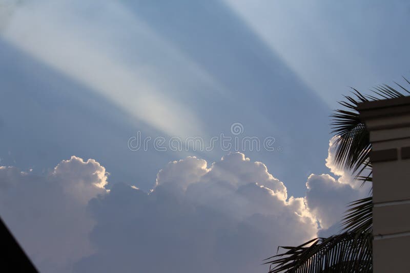 A Magnificent View from the Ground. Sky is Decorated with the Sun Light ...