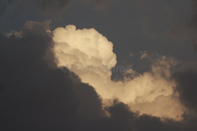 A Magnificent View from the Ground. Sky is Decorated with the Sun Light ...
