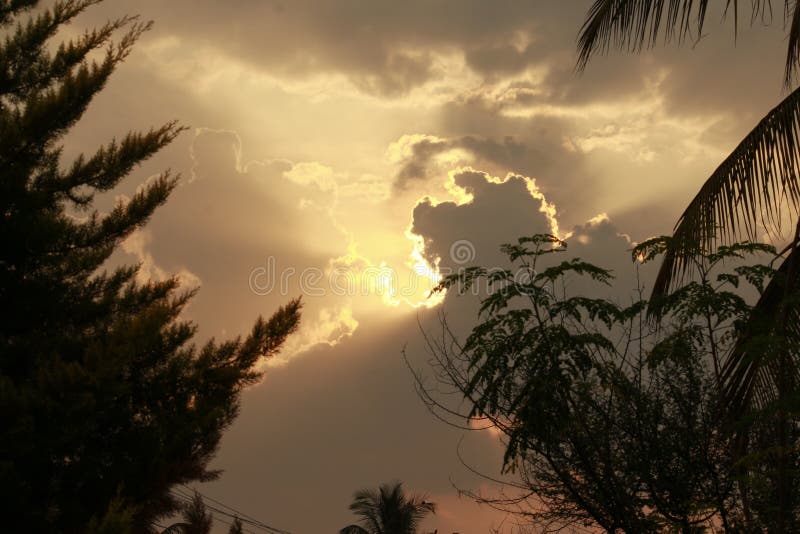 A Magnificent View from the Ground. Sky is Decorated with the Sun Light ...