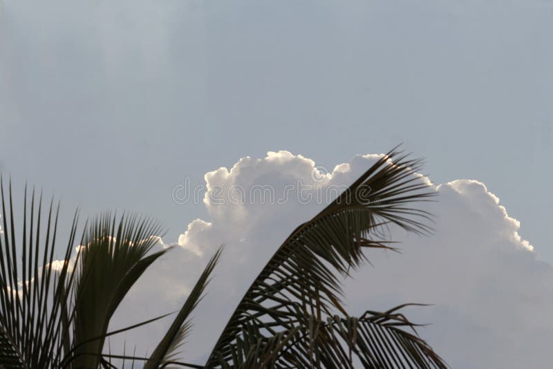A Magnificent View from the Ground. Sky is Decorated with the Sun Light ...