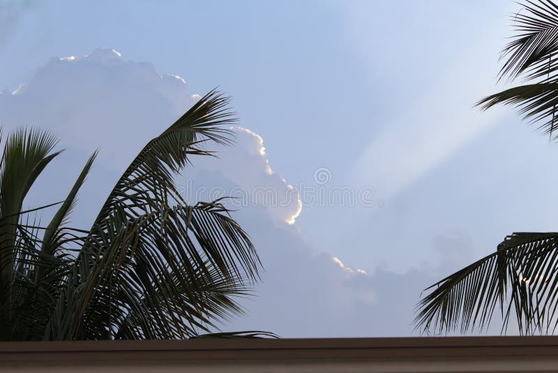 A Magnificent View from the Ground. Sky is Decorated with the Sun Light ...