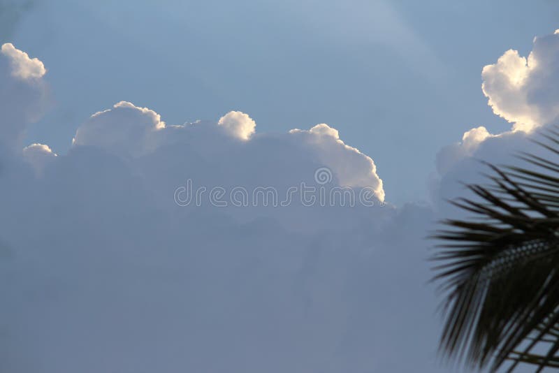 A Magnificent View from the Ground. Sky is Decorated with the Sun Light ...