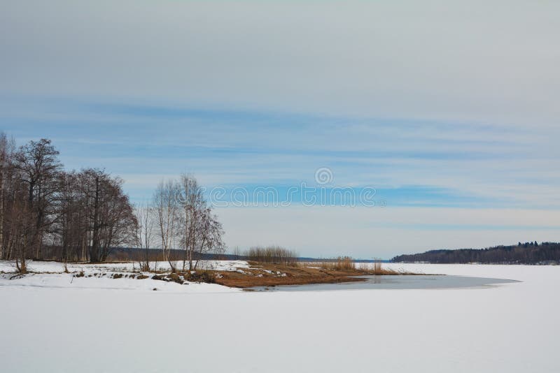 Magnificent View of the River Bank Stock Image - Image of forest, river ...