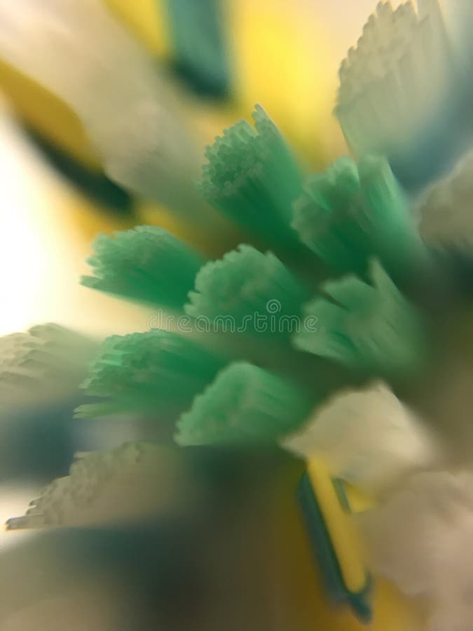 Magnified Toothbrush Stock Photos - Free & Royalty-Free Stock Photos ...