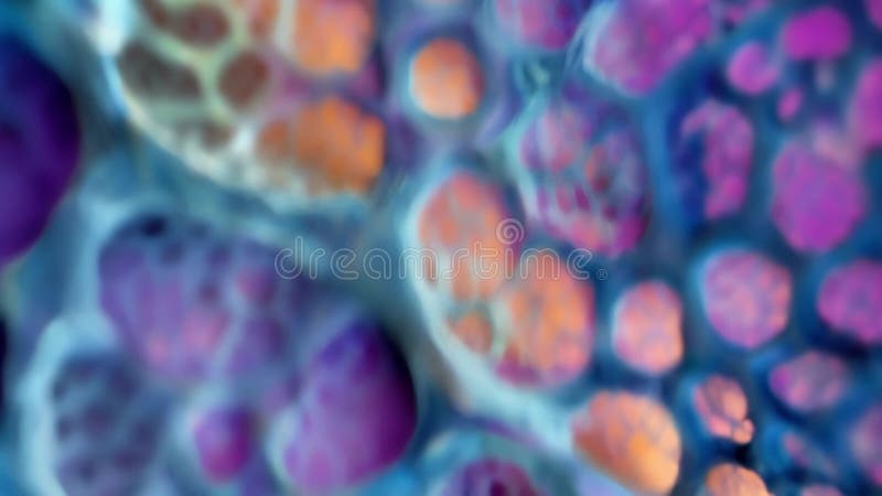 A Magnified View of a Frogs Skin Showcasing an Array of Overlapping ...
