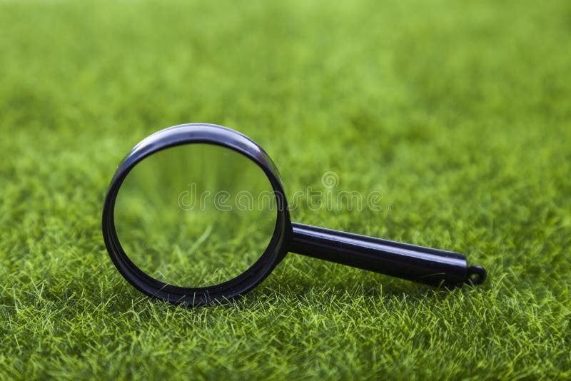 Magnifier on the grass stock photo. Image of search - 102685856