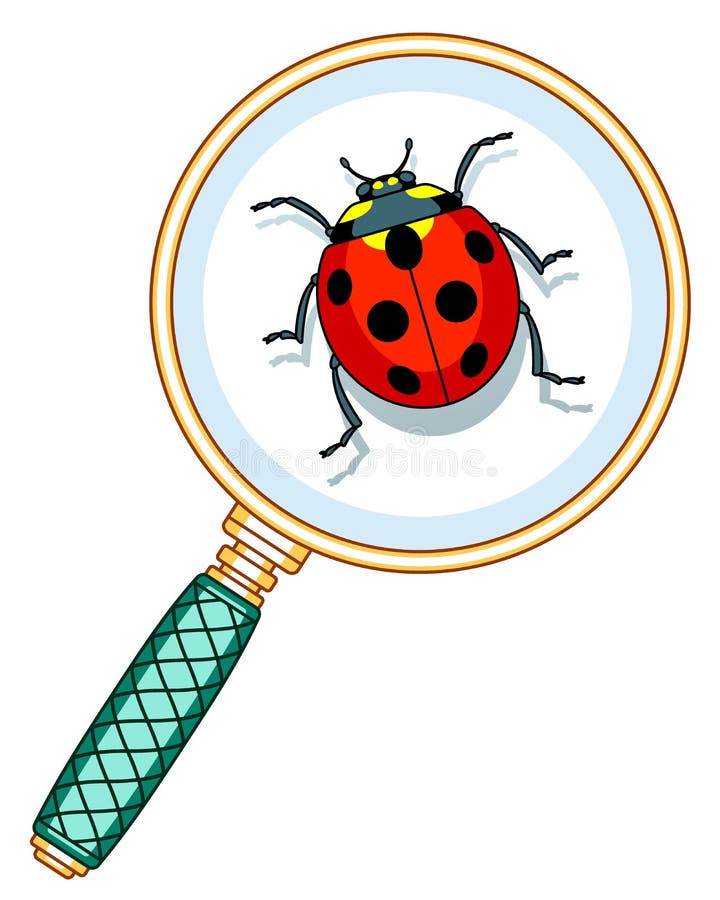 Magnifying Glass Ladybug Stock Illustrations – 151 Magnifying Glass ...