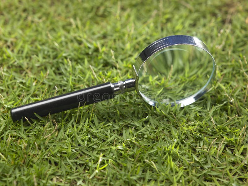 Magnifier stock photo. Image of grass, analyzing, yard - 48629552