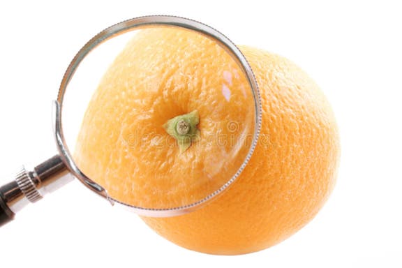 Magnifying stock image. Image of defract, look, curious - 852963