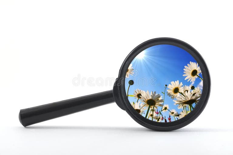 Magnifying Glass and Flower Stock Image - Image of flowers, global ...