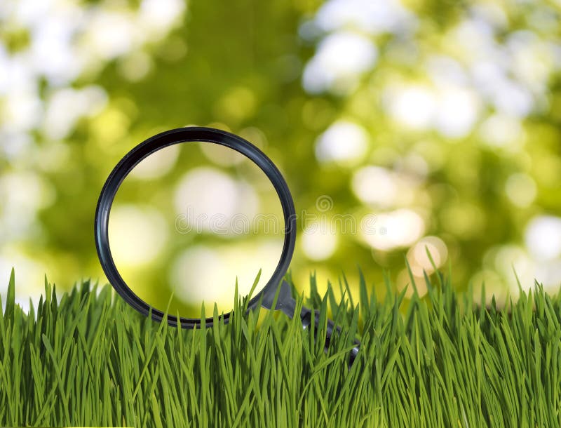 Magnifying Glass On The Grass Stock Photo - Image of healthy, depth ...