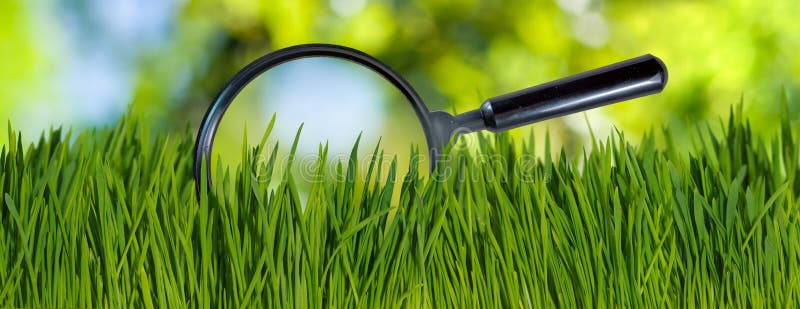Magnifying Glass Green Grass Stock Images - Download 980 Royalty Free ...