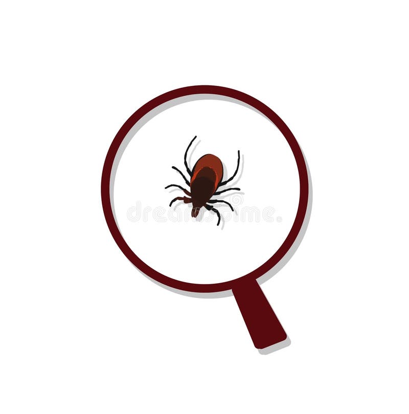 Magnifying Glass with Parasites, Checking for Ticks Stock Illustration ...