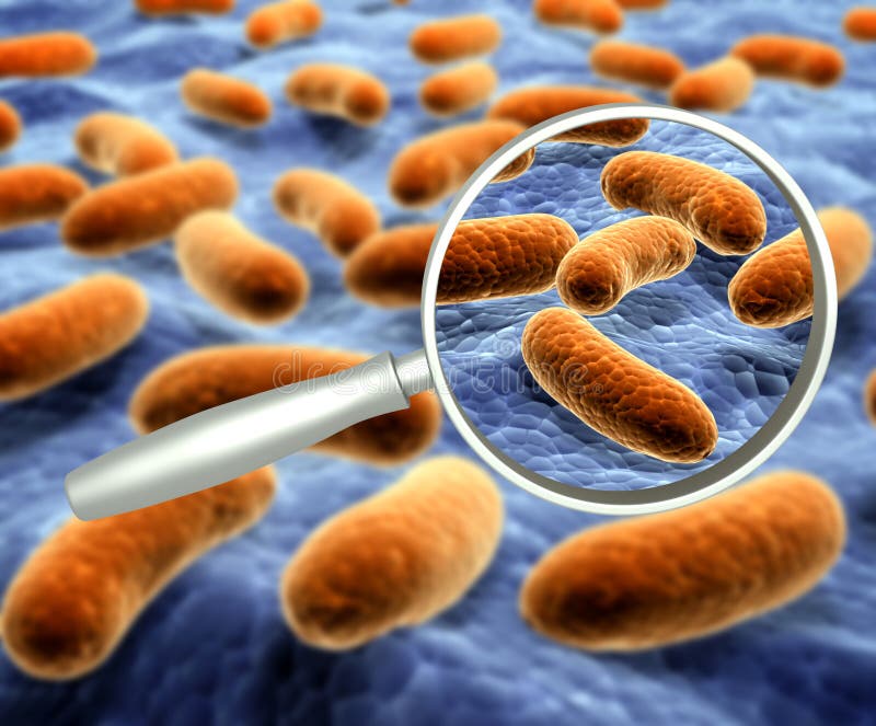 Magnifying Glass and Pathogen Bacteria Stock Illustration ...