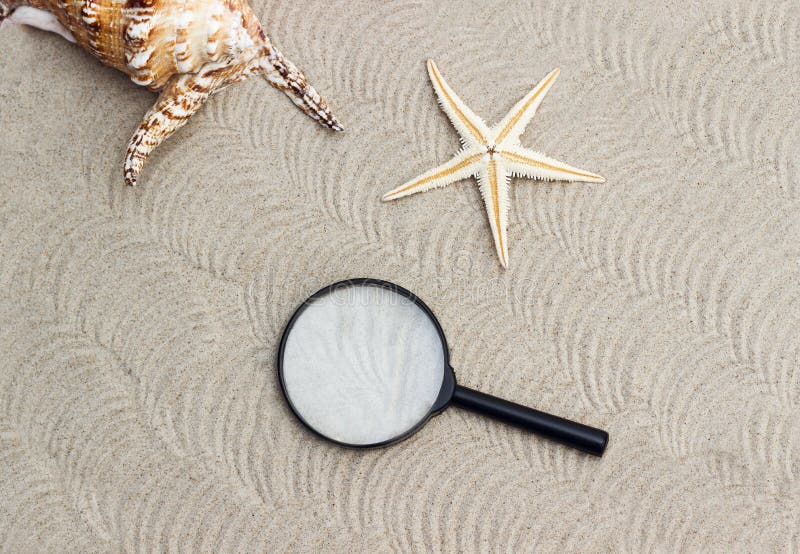 Magnifying Glass and Seashells in the Sand Stock Photo - Image of ...