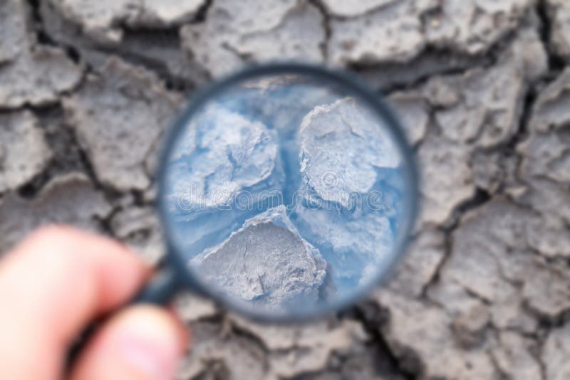 Magnifying Glass on Pistachios Stock Photo - Image of seed, look: 269842870
