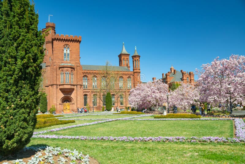 Magnolia Blooming in the Smithsonian Institution S Garden Editorial ...