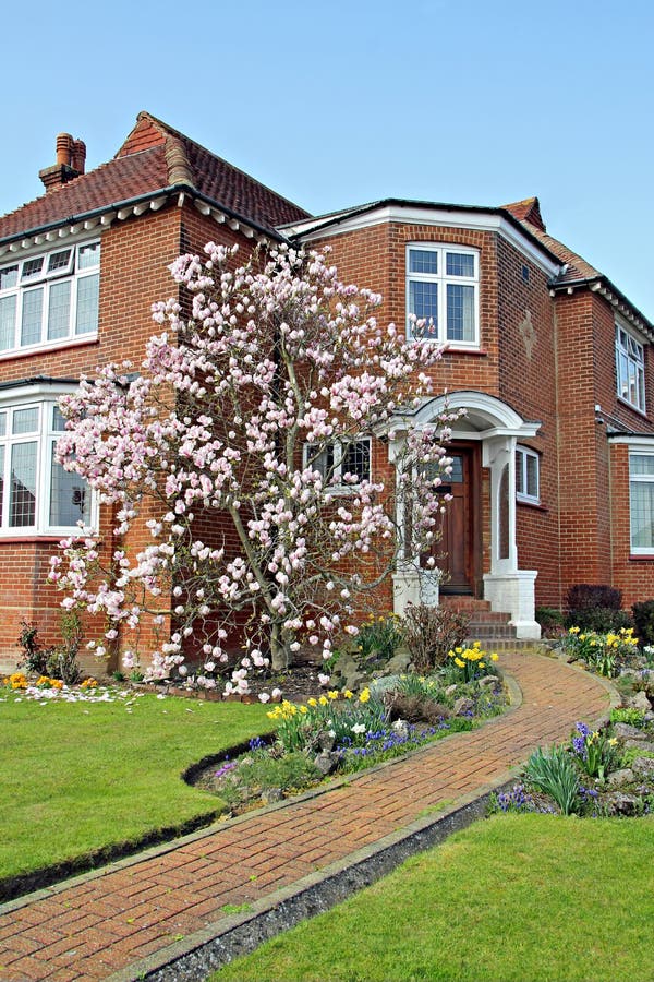 Magnolia country cottage stock image. Image of grand - 24094843