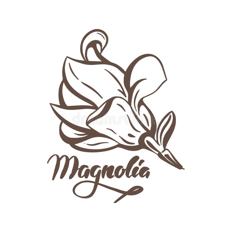 Magnolia Flower Modern Abstract Vector Floral Icon. Stock Vector ...