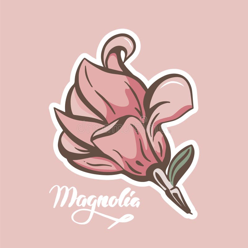 Magnolia Flower Modern Abstract Vector Floral Icon. Stock Vector ...