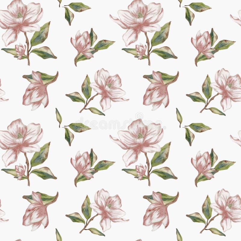 Delicate Magnolia Watercolor Pattern Design for Textile and Wrapping ...