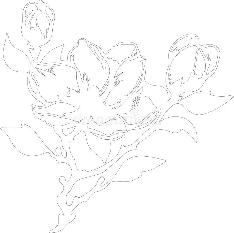 Magnolia Outline Silhouette Generative Ai Stock Vector - Illustration ...