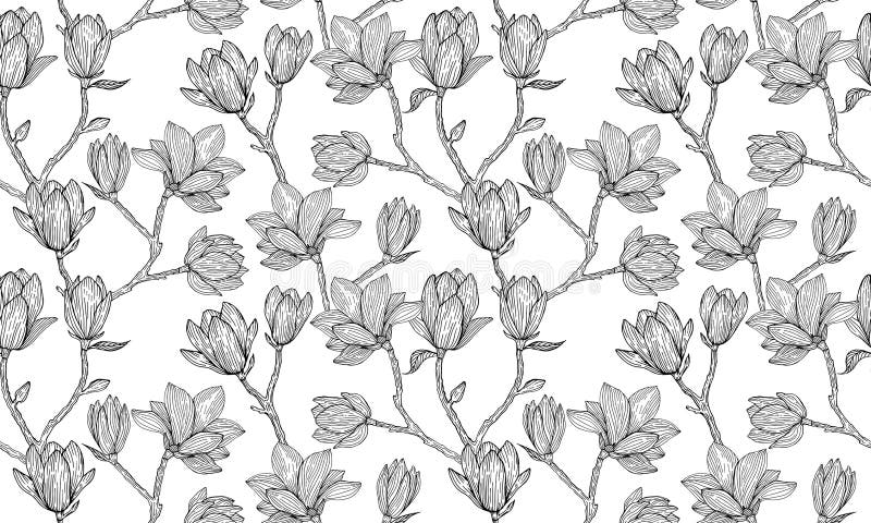 Magnolia Pattern on White Background. Seamless Pattern of Magnolia ...
