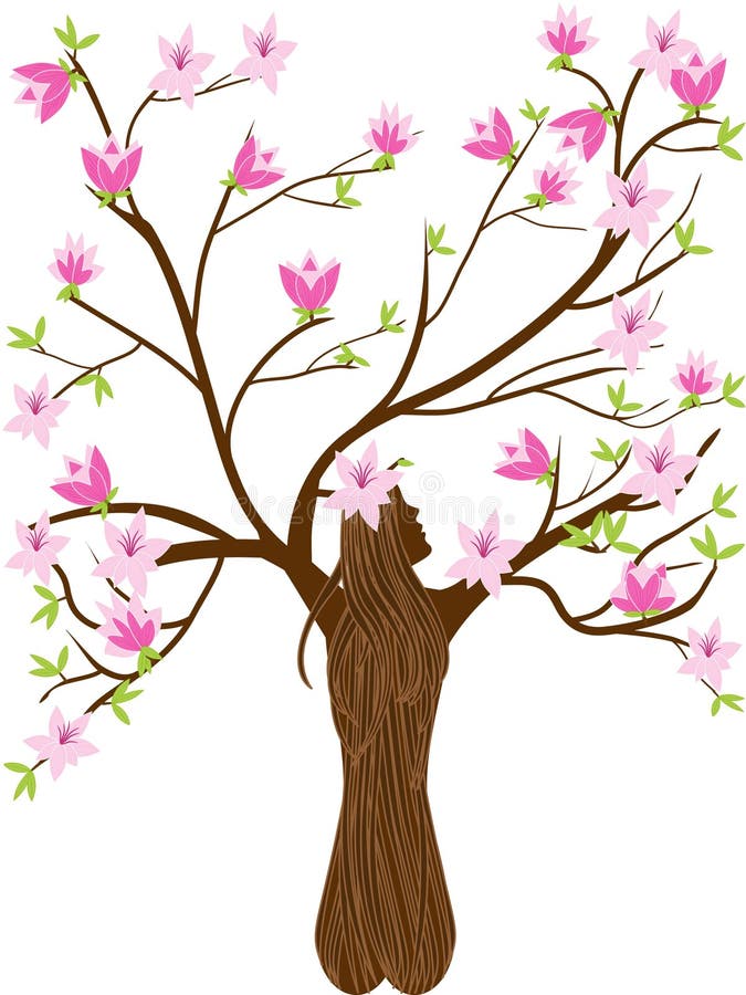 Magnolia tree. stock vector. Illustration of plants, artistry - 49370254